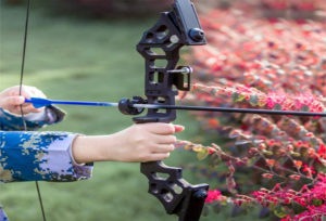 Bogenschießen die 5 besten (Recurve-Bögen) in 2021 inkl. Leitfaden >>>