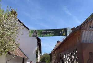 Affenberg Salem: Erleben Sie Berberaffen hautnah am Bodensee